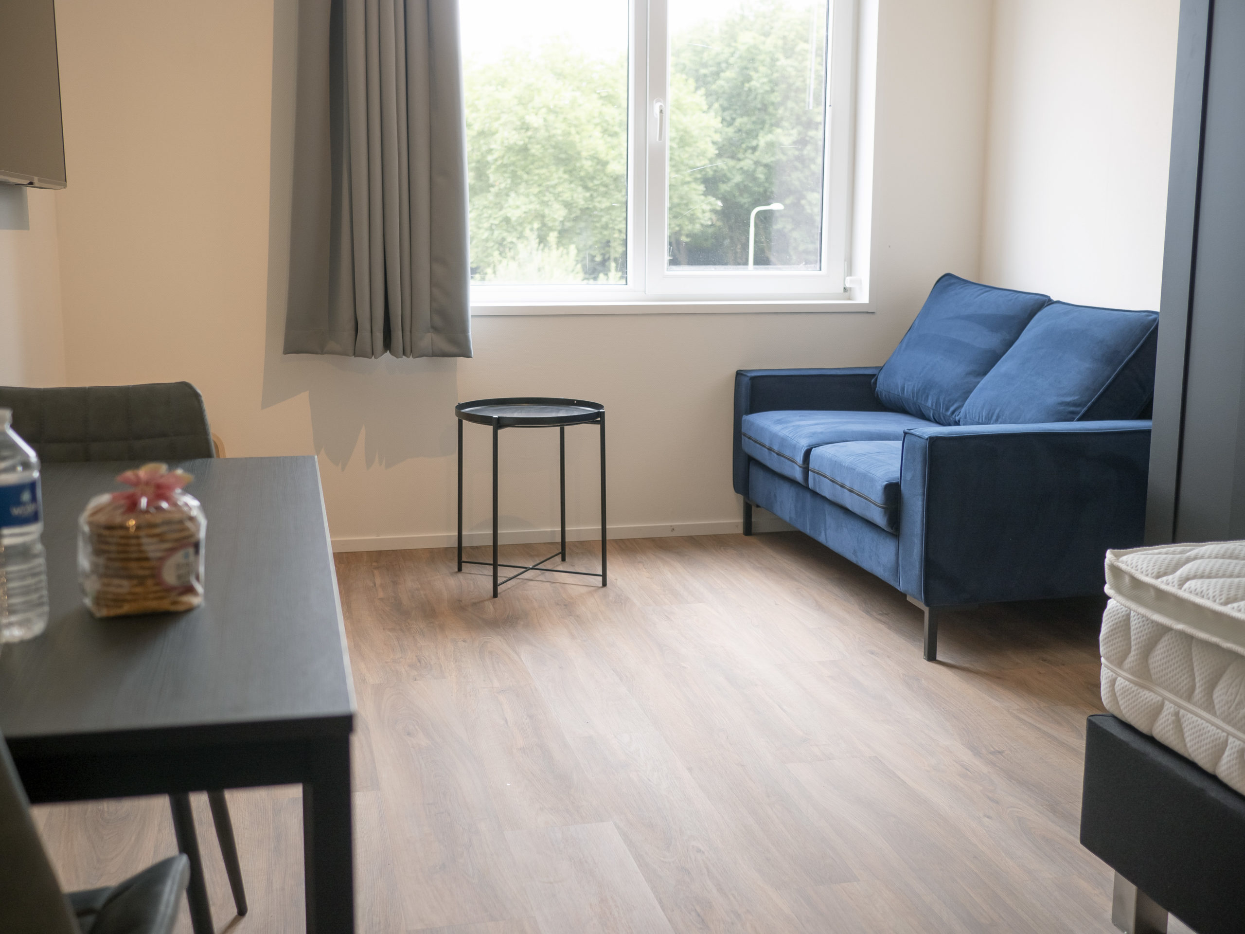 Student housing shortage? New reporting point aims to expose problems ...